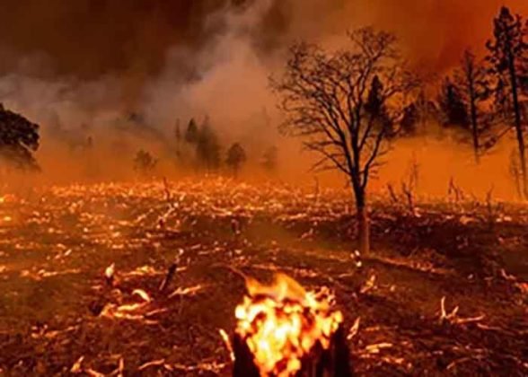 Almost 7 million Australians living in areas most exposed to deadly ...