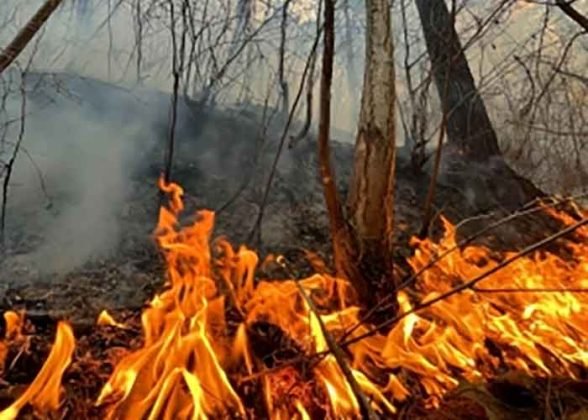 Wildfires burn over 100,000 hectares, prompt evacuations in South ...