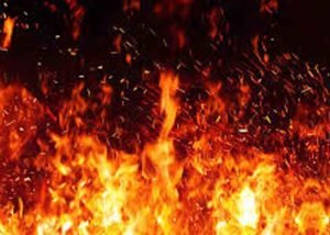 Narrow escape for 40 as Telangana RTC electric bus catches fire - Yes ...
